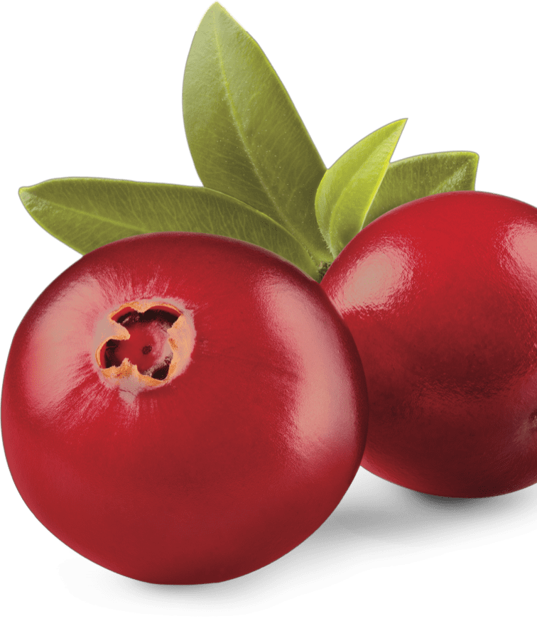 Prozis Cranberry Extract