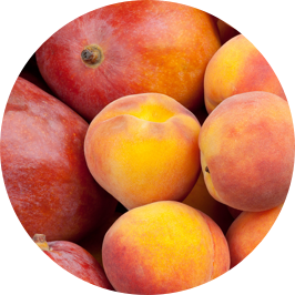 Prozis preparing step 01