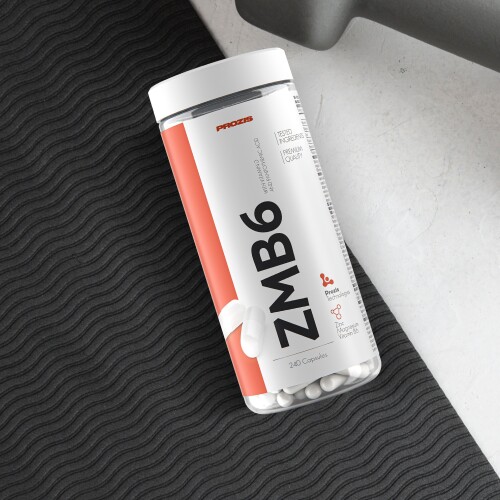 ZMB6 - Zinc + Magnésium + B6 - 240 gélules - Développement Musculaire ...