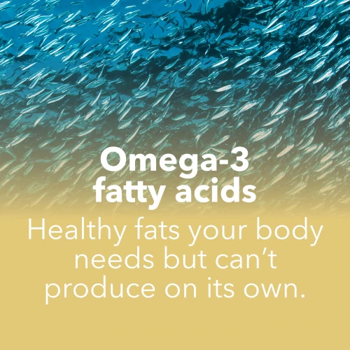 Omega 3 EPA Plus 180 Softgels - Athlete's Health | Prozis