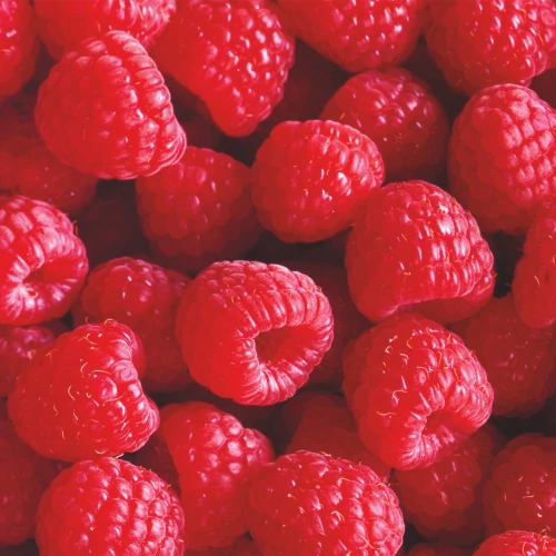 Sirop de Framboise Zero 355 g - Alimentation Diététique | Prozis