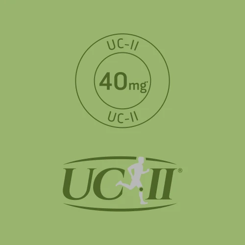 UC-II® Undenatured Type II Collagen 30 caps - Proteína | Prozis