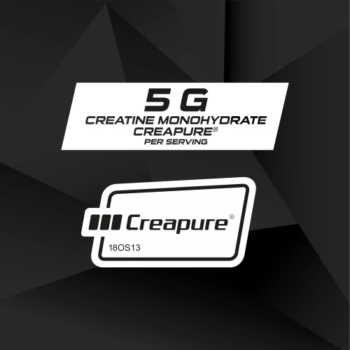 Creatine Monohydrate Creapure® 21.2 oz - Build Muscle | Prozis